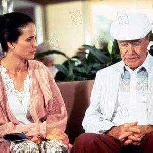 Vidas cruzadas - Película 1993 - SensaCine.com