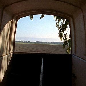 Robinson Devor - SensaCine.com