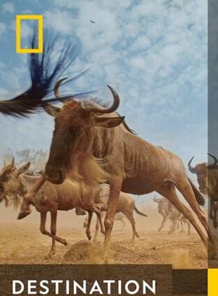 Destination Wild - Serie - SensaCine.com