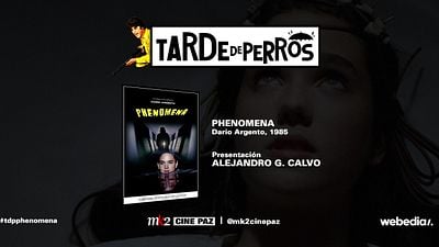 Suburbicon en streaming - SensaCine.com