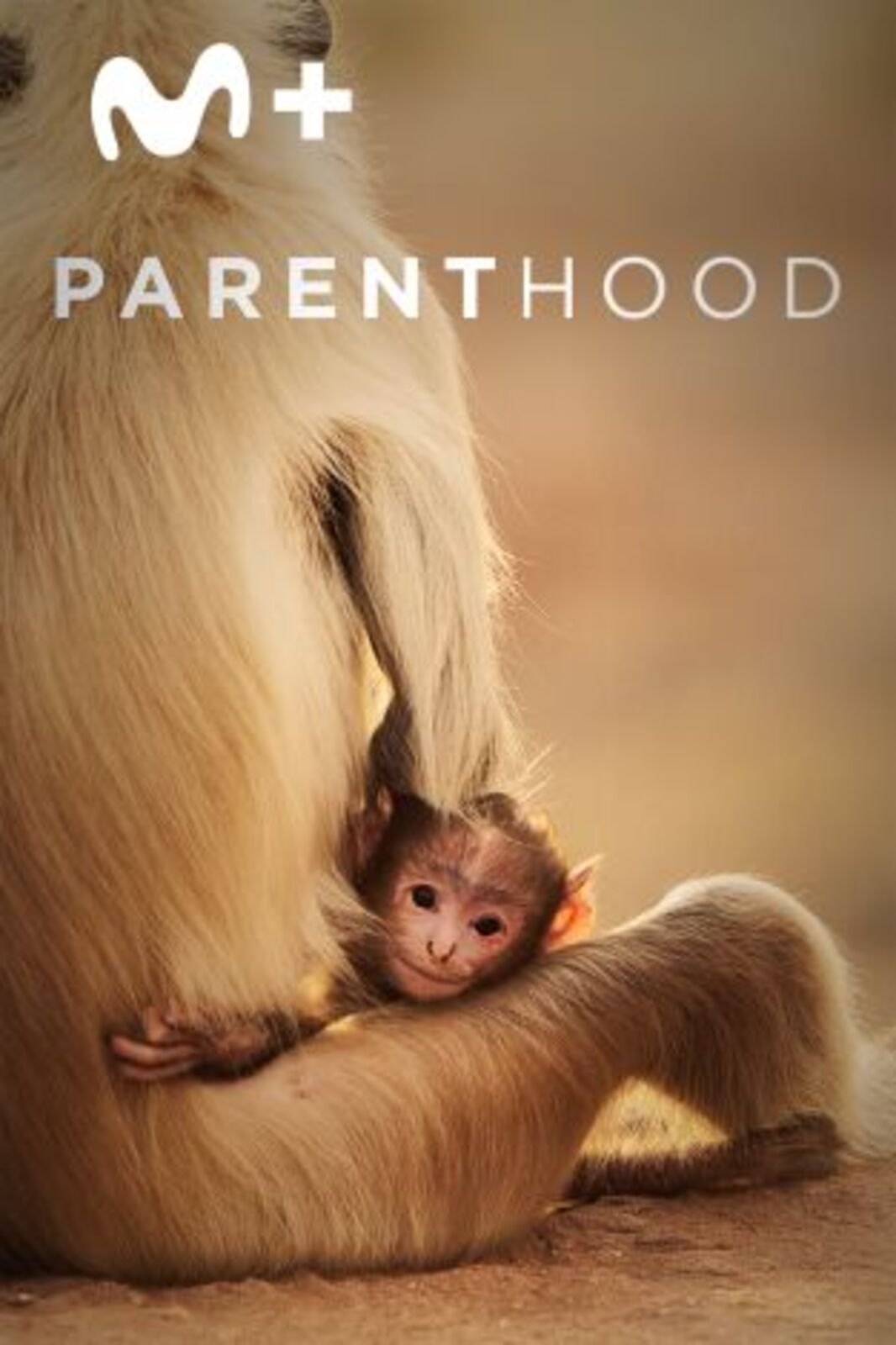 Fotos y cárteles de la serie Parenthood - SensaCine.com