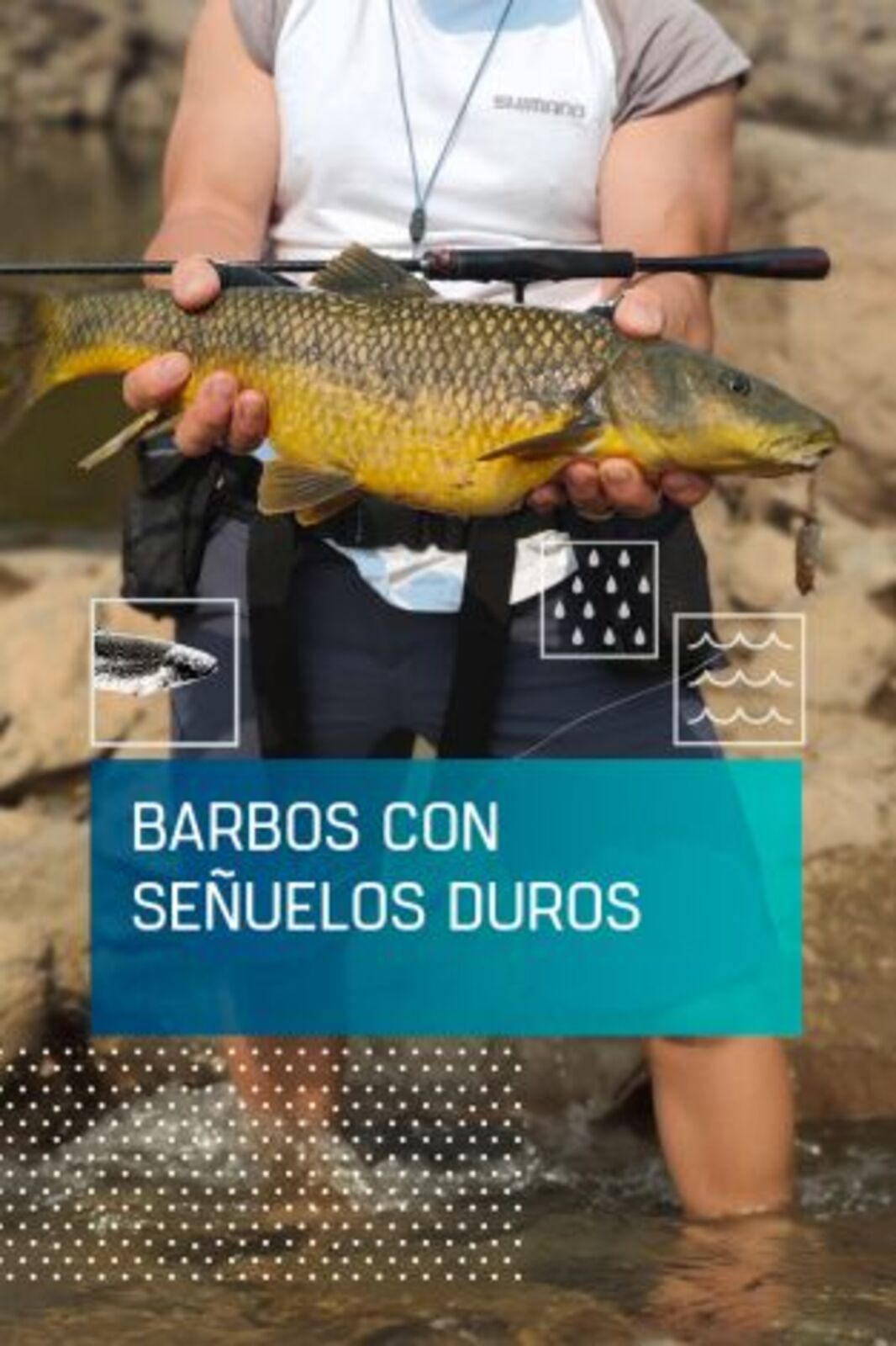 Barbos con señuelos - Película 2025 - SensaCine.com