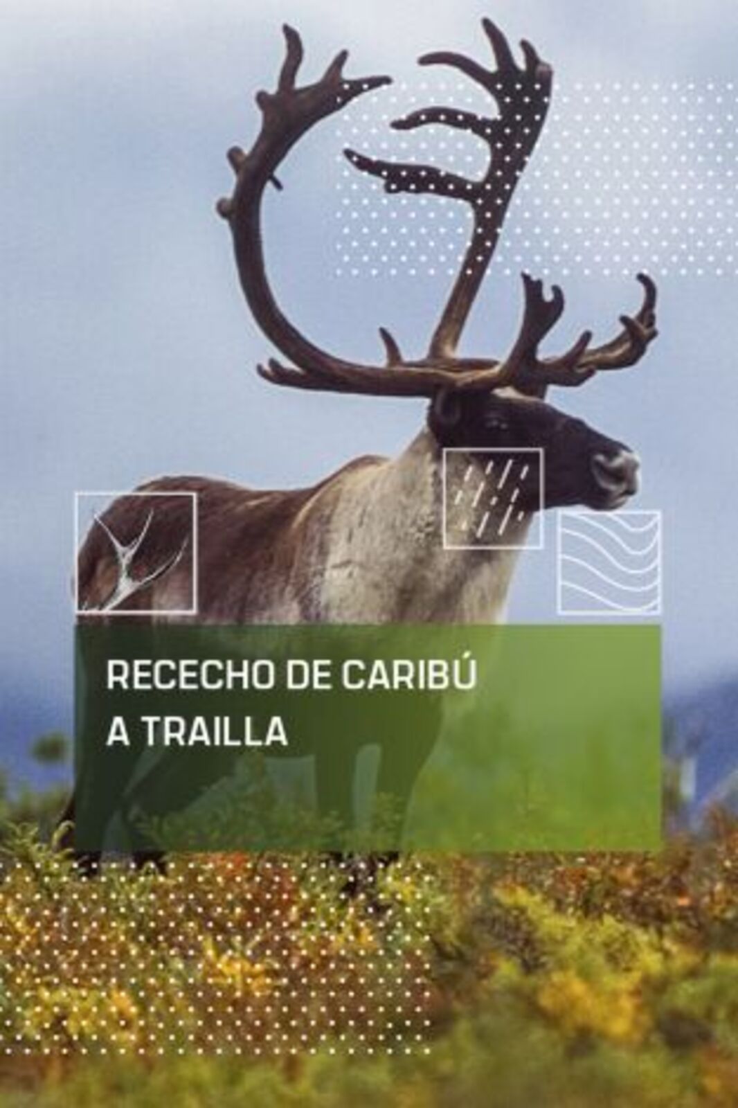 Rececho de caribú a traílla - Película 2025 - SensaCine.com