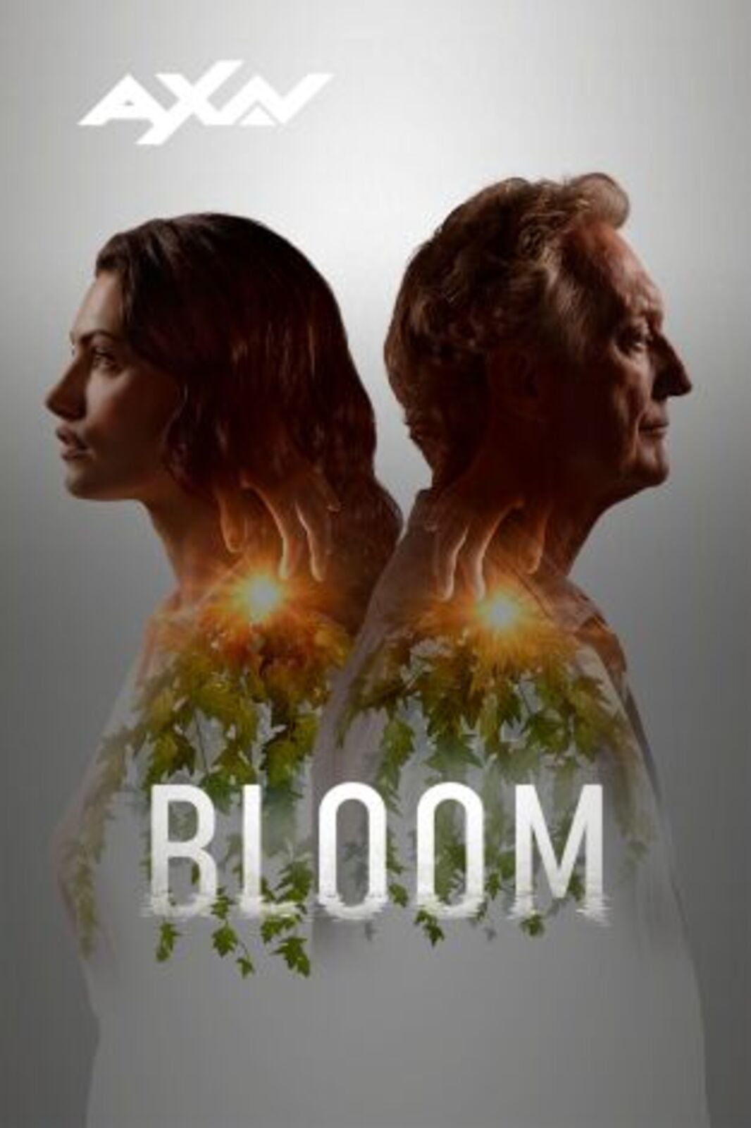 Bloom - Serie 2019 - SensaCine.com