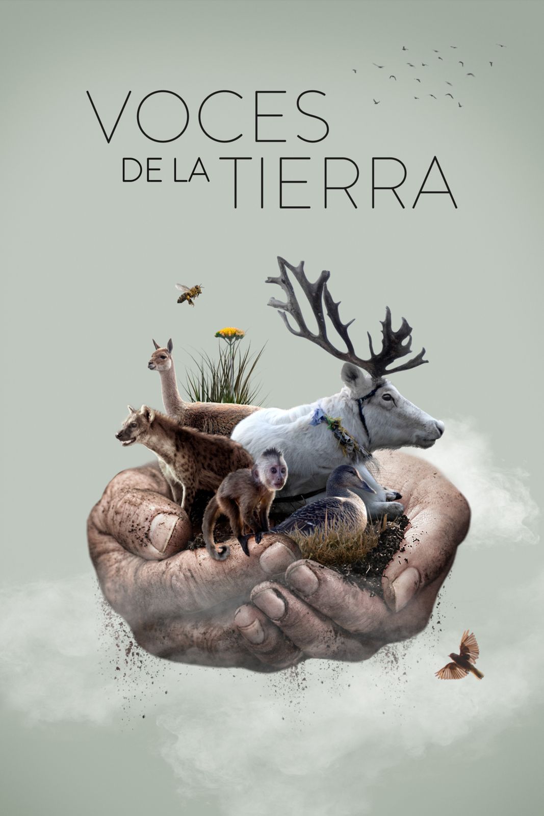 Voces de la Tierra: Guía de las temporadas - SensaCine.com