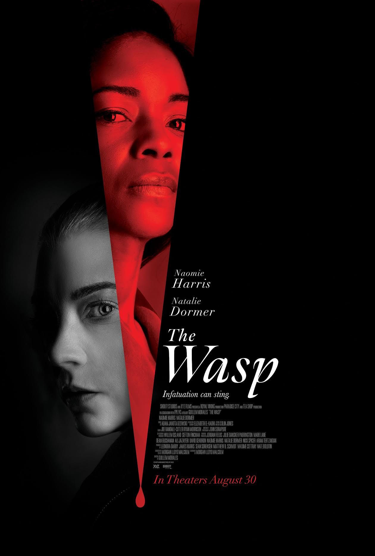 La avispa - Película 2024 - SensaCine.com