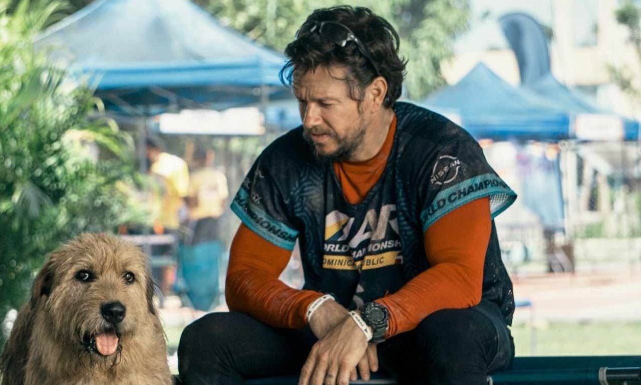 El perro que atravesó la jungla para encontrar un hogar: la historia ...