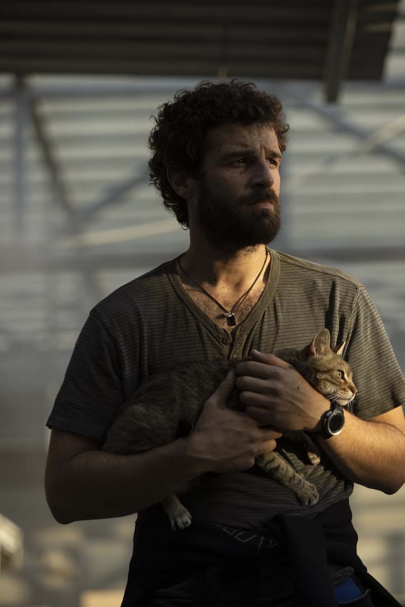 Foto de la película Apocalipsis Z: El principio del fin - Foto 1 por un ...