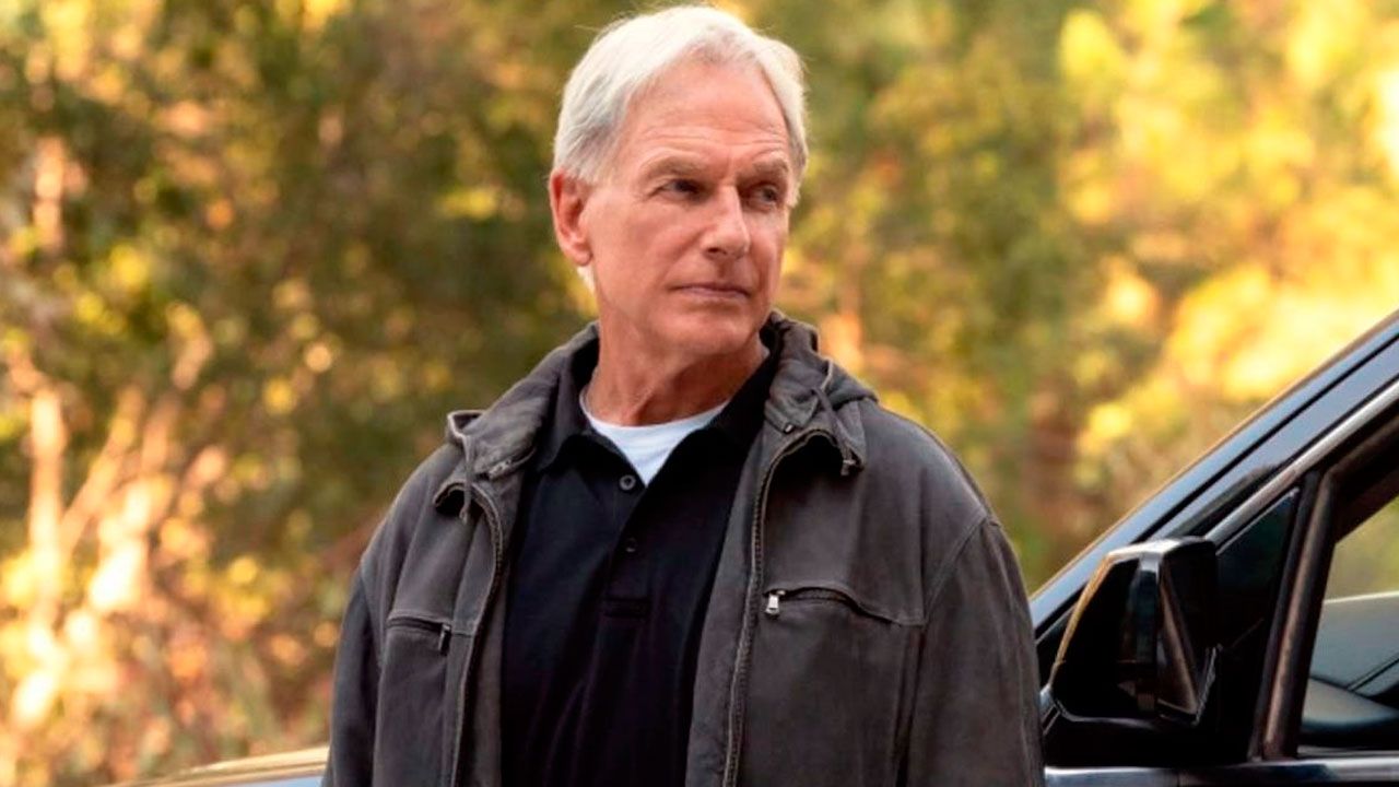 Mark Harmon ha dedicado 20 años de su vida a 'NCIS', pero decidió ...