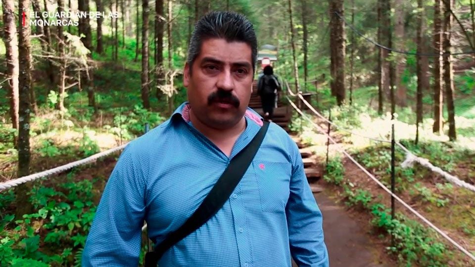 Tráiler de la película El guardián de las monarcas - El guardián de las ...