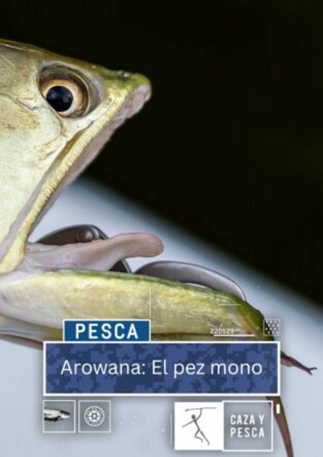 Arowana: el pez mono - Película 2024 - SensaCine.com