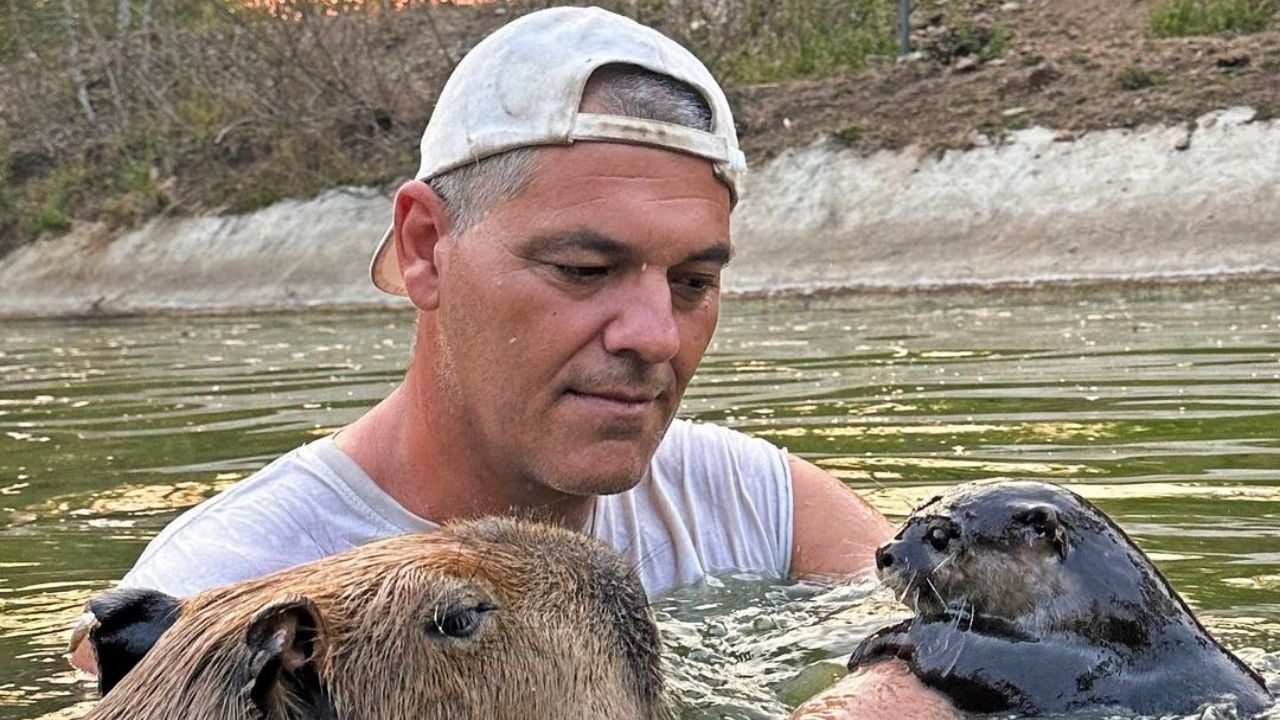 El regreso más esperado de la televisión: Frank Cuesta prepara un ...