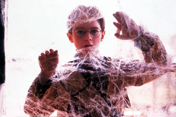 Foto de la película Arac Attack - Foto 3 por un total de 13 - SensaCine.com