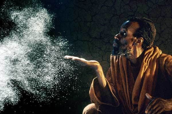 Foto de la película Genesis - Foto 5 por un total de 8 - SensaCine.com