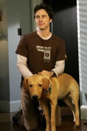 Foto de Zach Braff - Foto Zach Braff - Foto 91 de 176 - SensaCine.com