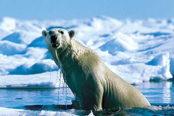 Foto de la película Planeta Blanco - Foto 5 por un total de 15 ...