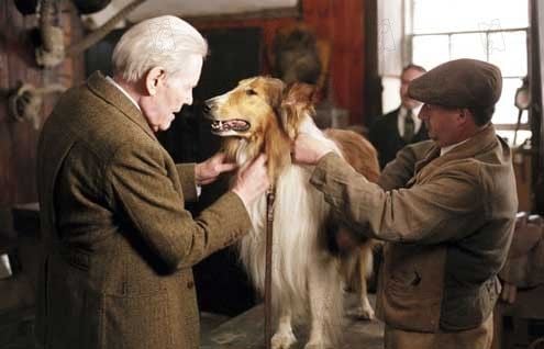 Foto de la película Lassie - Foto 20 por un total de 29 - SensaCine.com