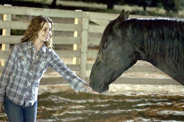 Foto de la película Flicka - Foto 6 por un total de 14 - SensaCine.com