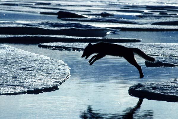 Foto de la película Planeta Blanco - Foto 10 por un total de 15 ...