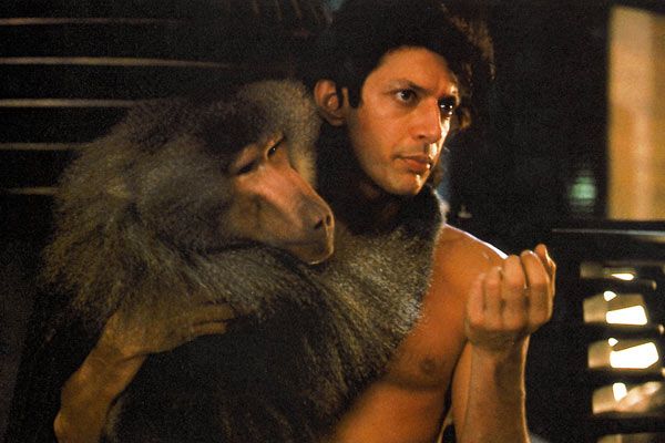 Foto de la película La mosca - Foto 7 por un total de 13 - SensaCine.com