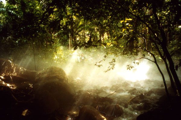 Foto de la película Vinyan - Foto 3 por un total de 11 - SensaCine.com