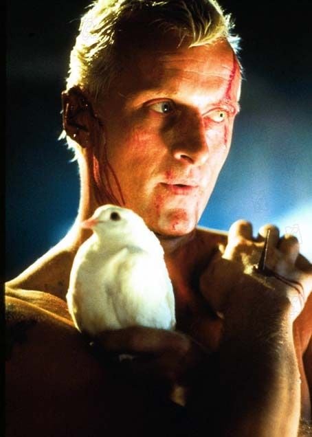 Foto de la película Blade Runner - Foto 18 por un total de 39 ...