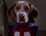 Tráiler de la película Superdog - Superdog Tráiler - SensaCine.com