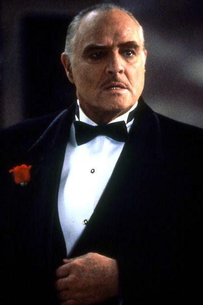 Foto de la película El novato - Foto 10 por un total de 10 - SensaCine.com