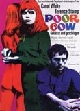 Poor Cow - Película 1967 - SensaCine.com