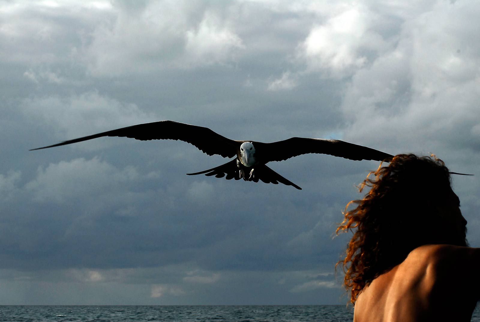 Foto de la película Alamar - Foto 4 por un total de 7 - SensaCine.com