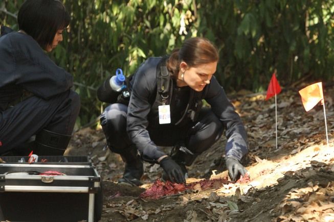 Foto de Tamara Taylor - Bones : Foto Emily Deschanel, Tamara Taylor ...