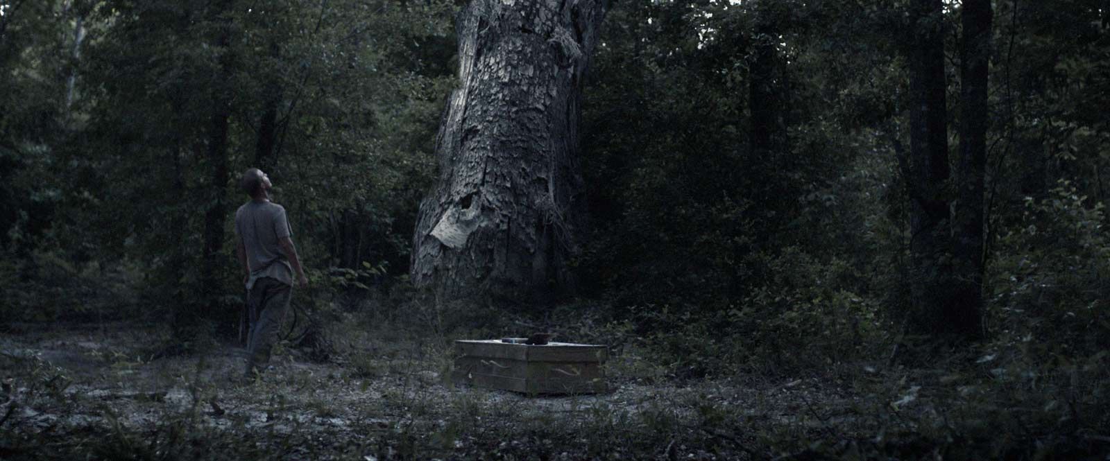 Foto de la película Two Gates of Sleep - Foto 6 por un total de 16 ...