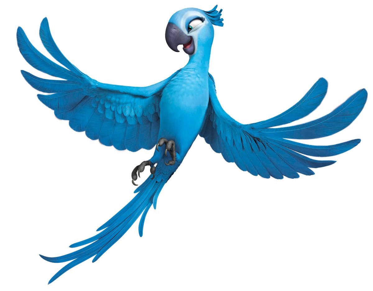 Foto de la película Rio - Foto 21 por un total de 60 - SensaCine.com