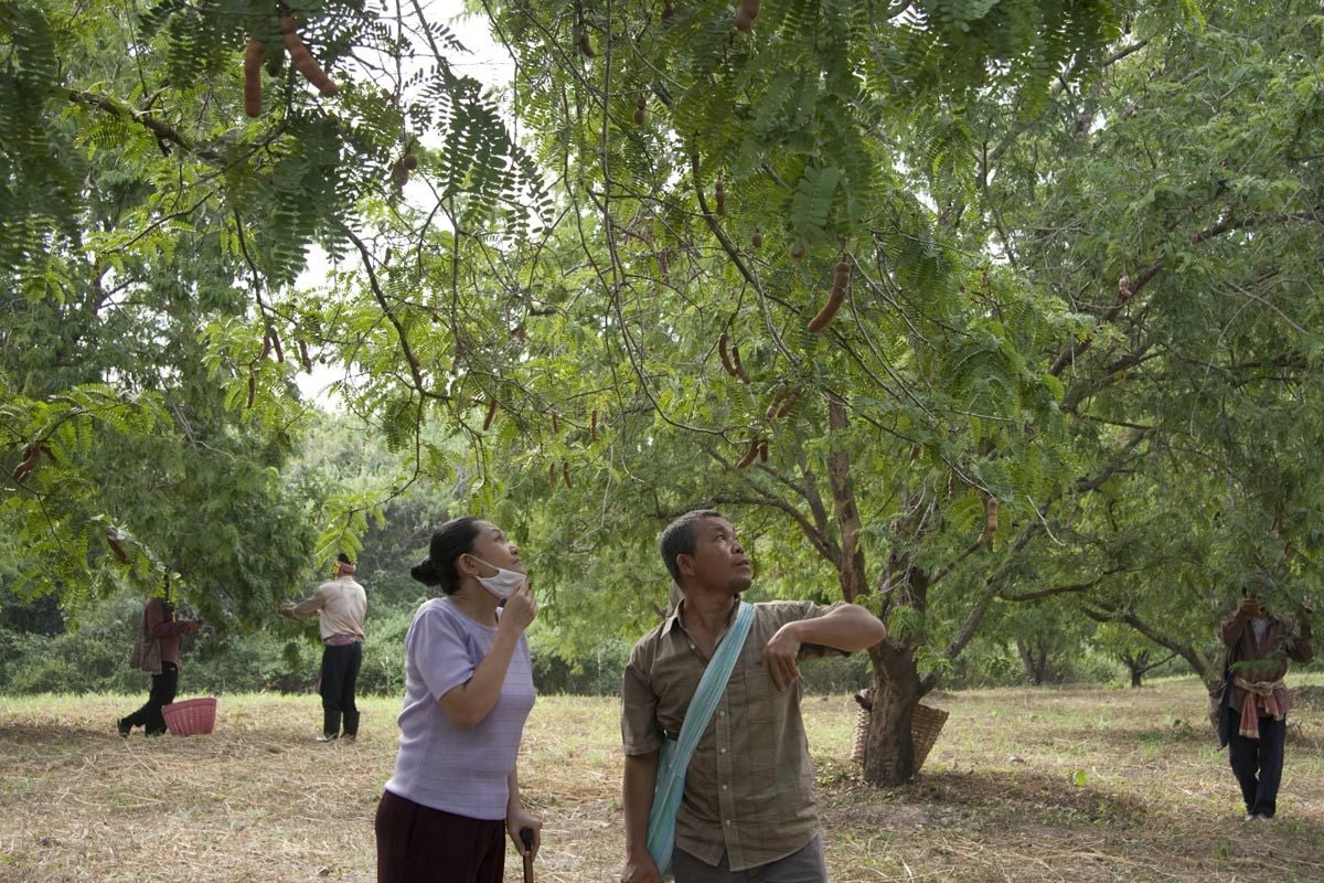 Foto de la película Uncle Boonmee recuerda sus vidas pasadas - Foto 12 ...