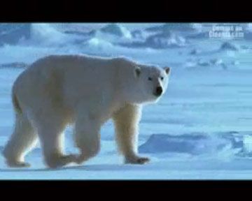 Tráiler de la película Planeta Blanco - Planeta Blanco Tráiler VO ...