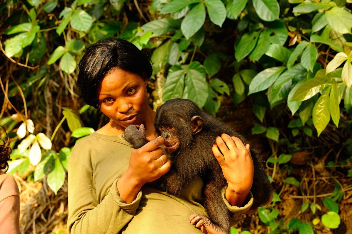 Foto de la película Bonobos - Foto 33 por un total de 69 - SensaCine.com