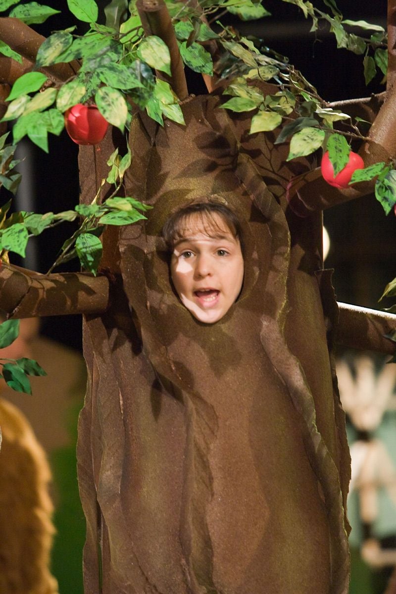 Foto de la película Diario de Greg - Foto 9 por un total de 18 ...