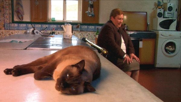 Foto de la película Señora De - Foto 7 por un total de 7 - SensaCine.com