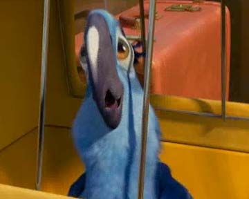 Tráiler de la película Rio - Rio Tráiler (2) - SensaCine.com