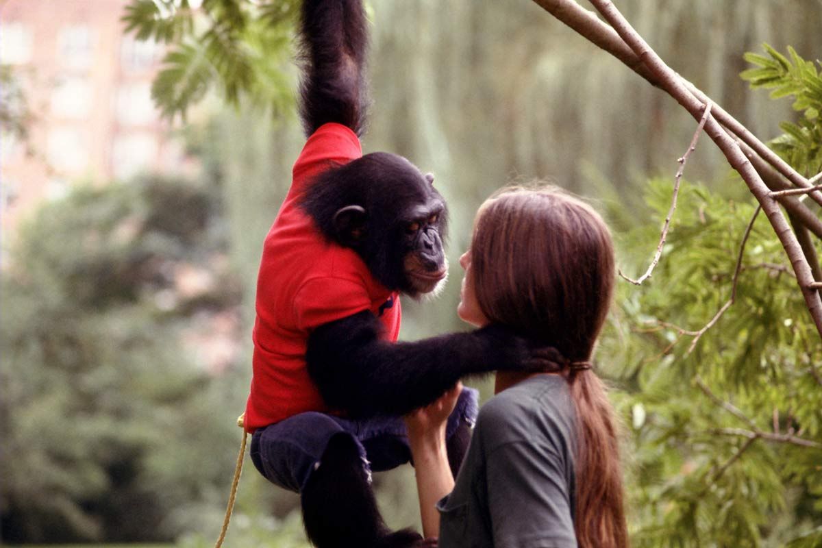 Foto de la película Proyecto Nim - Foto 4 por un total de 12 - SensaCine.com