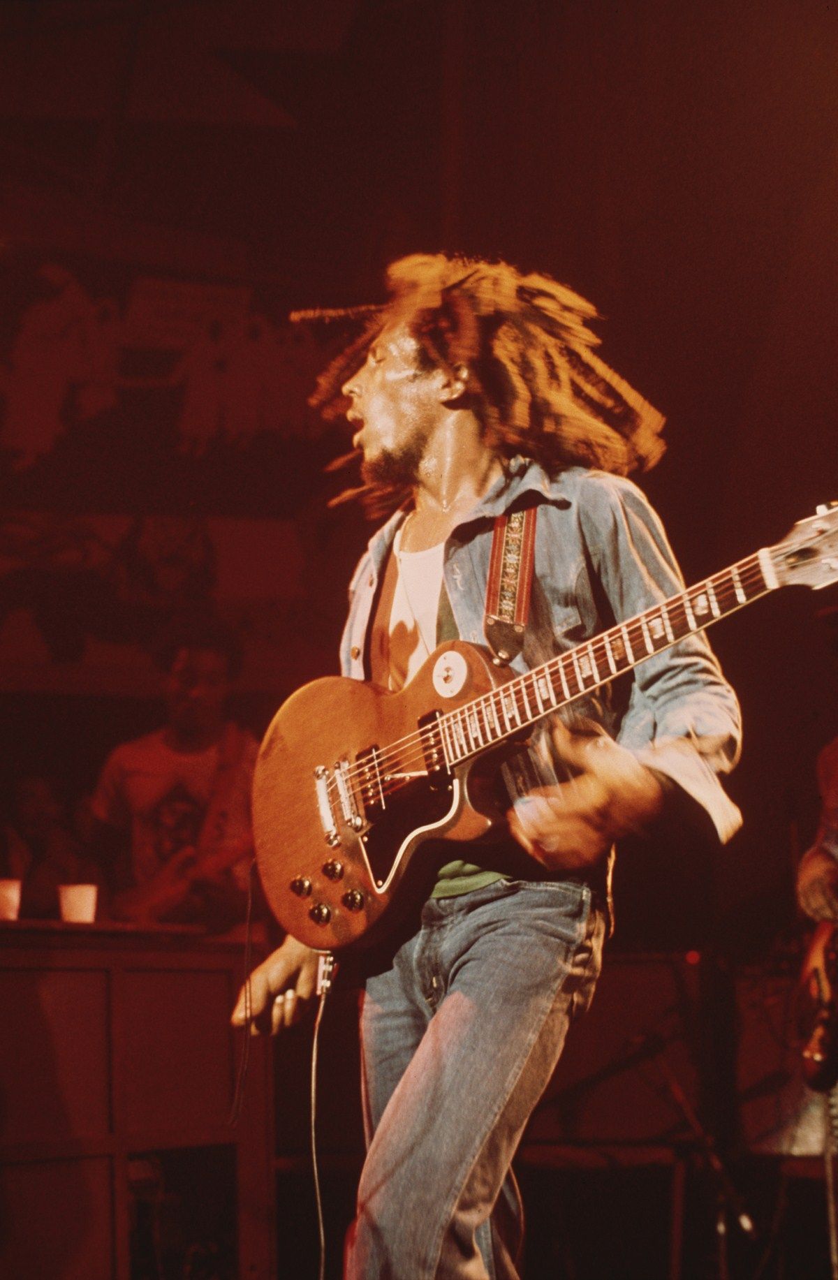 Foto de la película Marley - Foto 16 por un total de 30 - SensaCine.com