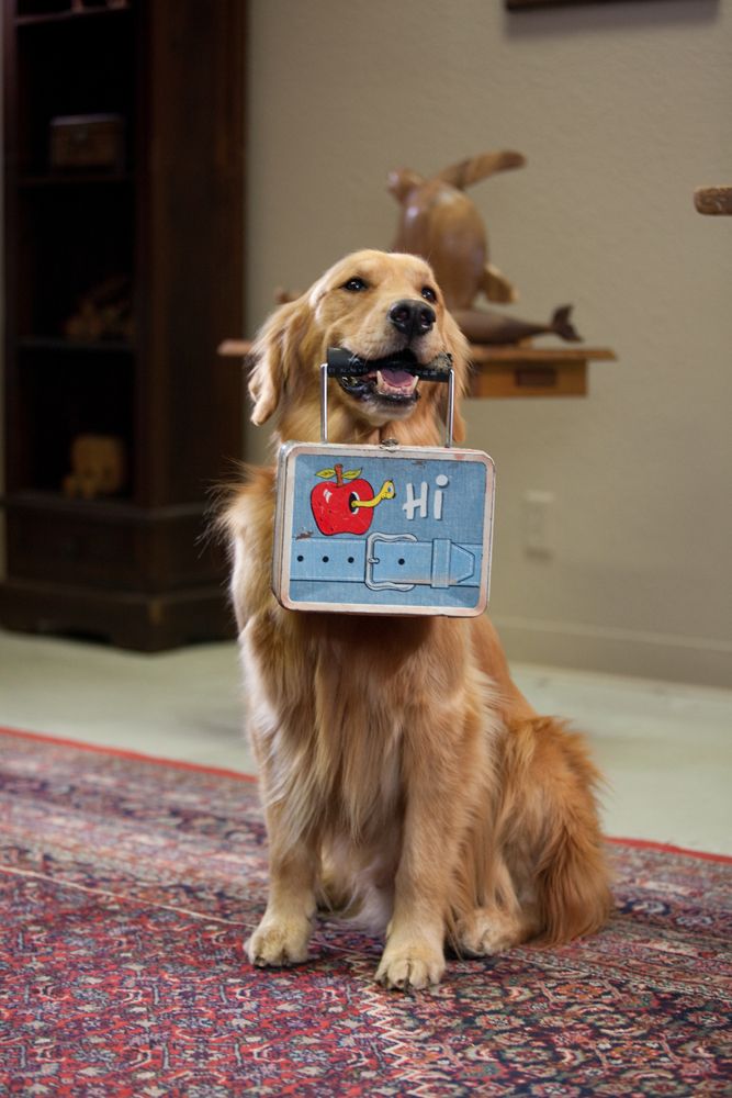 Foto de Un lugar para el recuerdo - Foto 5 por un total de 5 ...