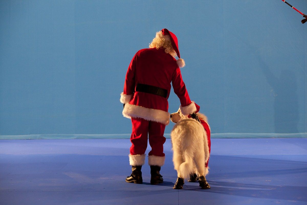 Foto de la película Santa Can 2: Los cachorros de Santa - Foto 4 por un ...