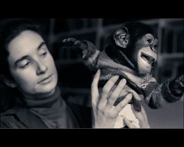 Tráiler de la película Proyecto Nim - Proyecto Nim Tráiler - SensaCine.com