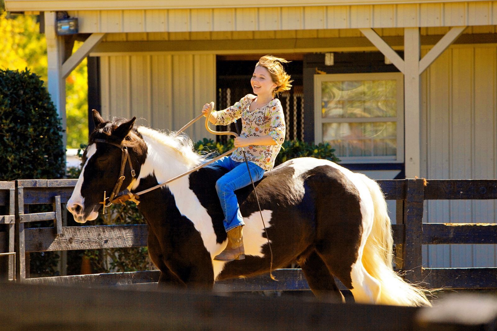 Foto de la película The Greening of Whitney Brown - Foto 7 por un total ...