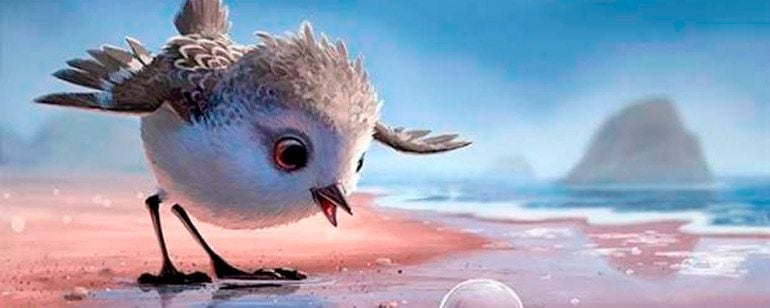 Nuevas fotos de 'Piper', el corto que irá junto a 'Buscando a Dory' de ...