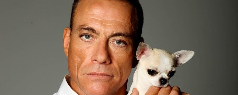 'The Bouncer': Jean-Claude Van Damme protagonizará la película dirigida ...