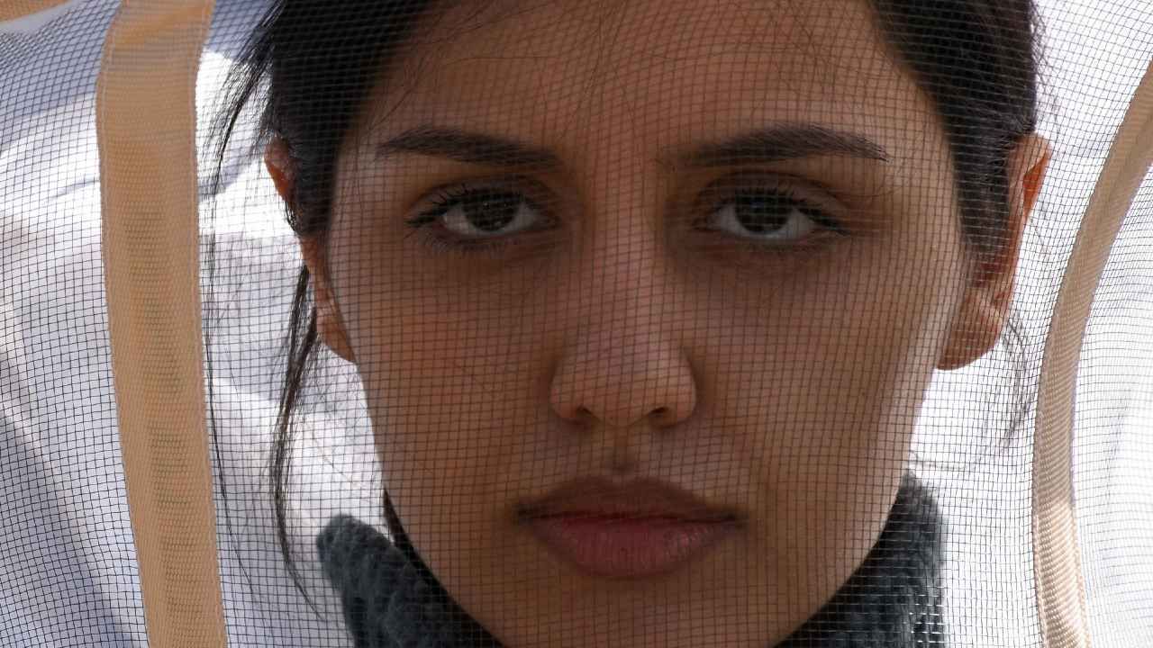 'There is no Evil', del iraní Mohammad Rasoulof, Oso de Oro en la ...