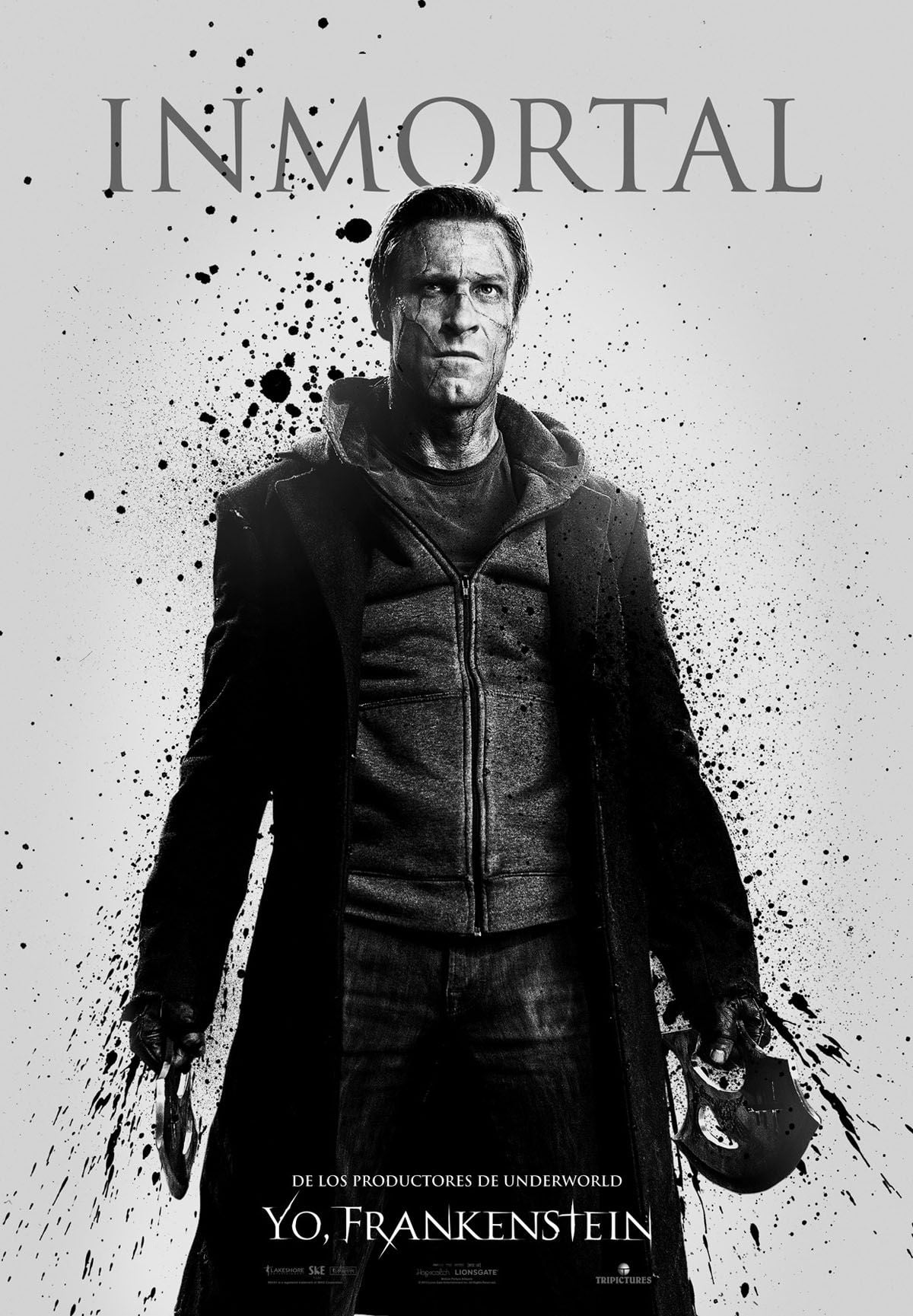 Cartel de la película Yo, Frankenstein - Foto 5 por un total de 22 ...