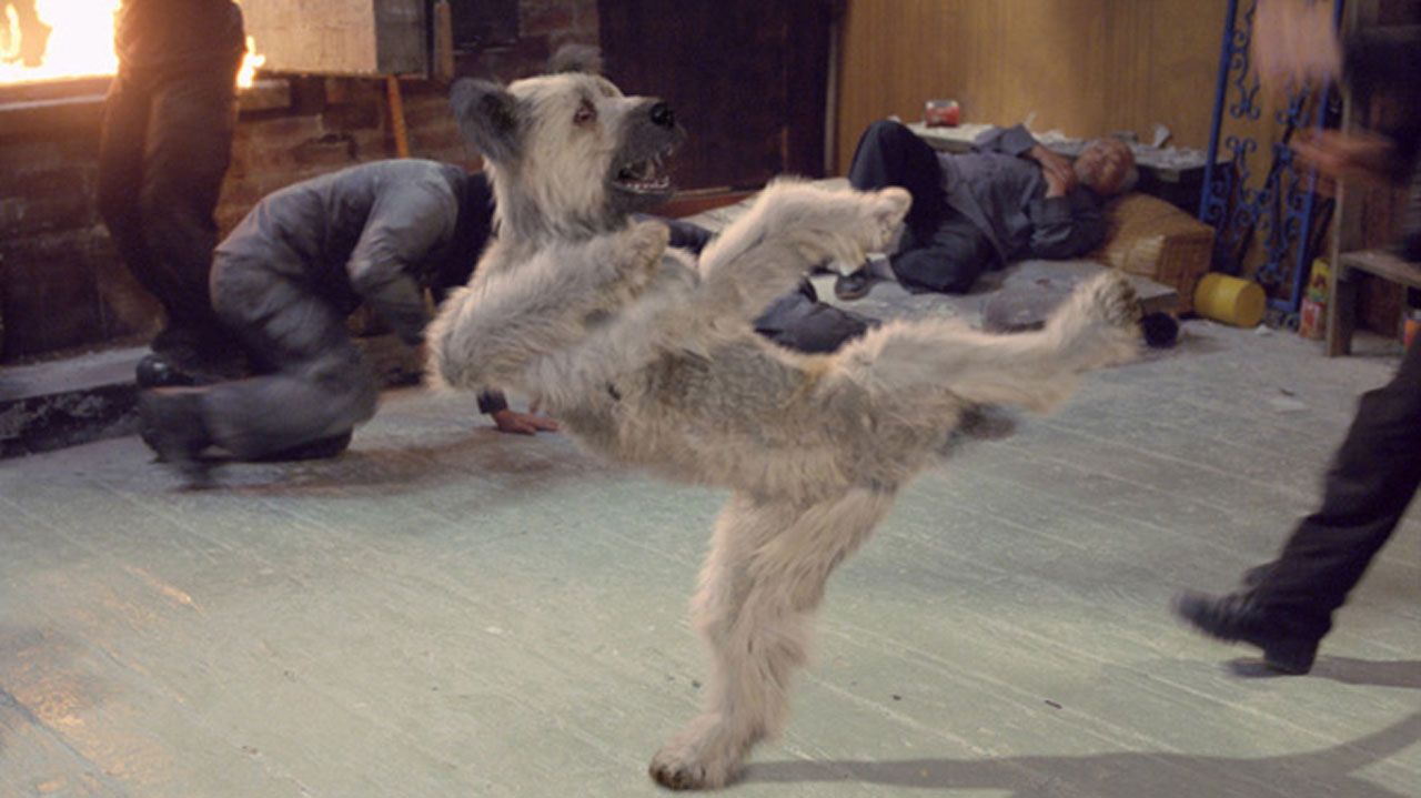 Foto de Karate Dog - Foto 1 por un total de 2 - SensaCine.com